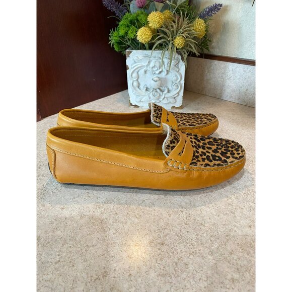 Massimo Matteo | Shoes | New Massimo Matteo Penny Loafers With Cheetah ...